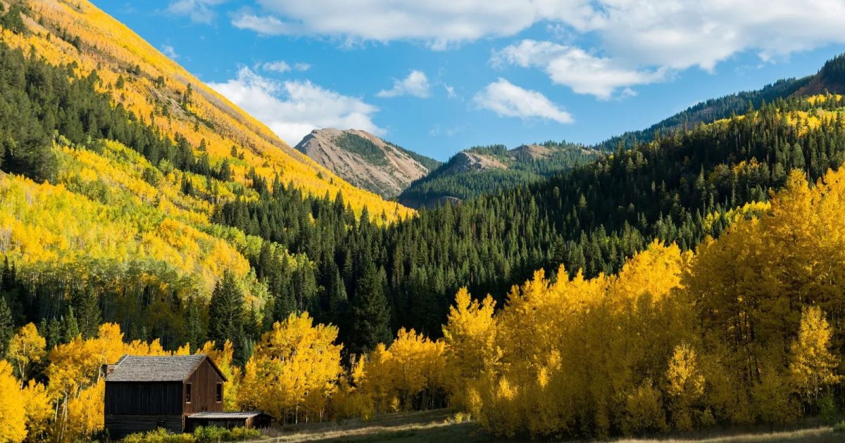 Aspen's Favorite Leaf-Peeping Spots | Aspen Chamber